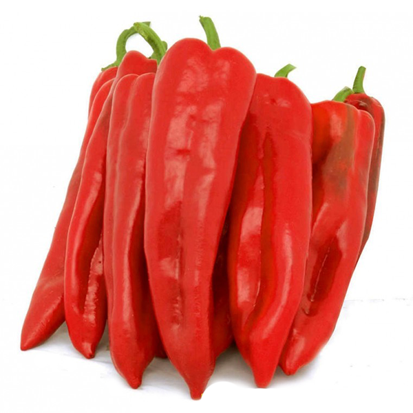BULL HORN CAPSICUM UNIT – Frootz On Parade
